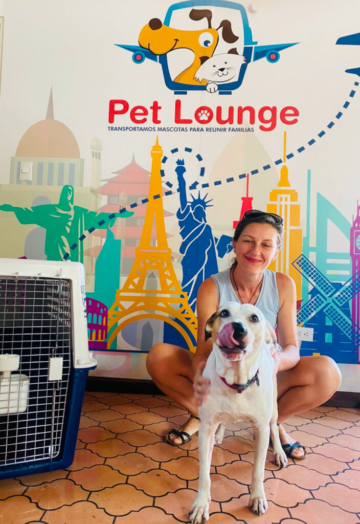 Comprehensive Pet Transport Services | Pet Lounge